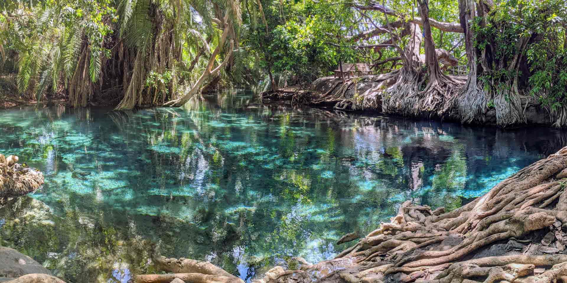 Complete Guide To Visiting Kikuletwa Hot Springs In Tanzania