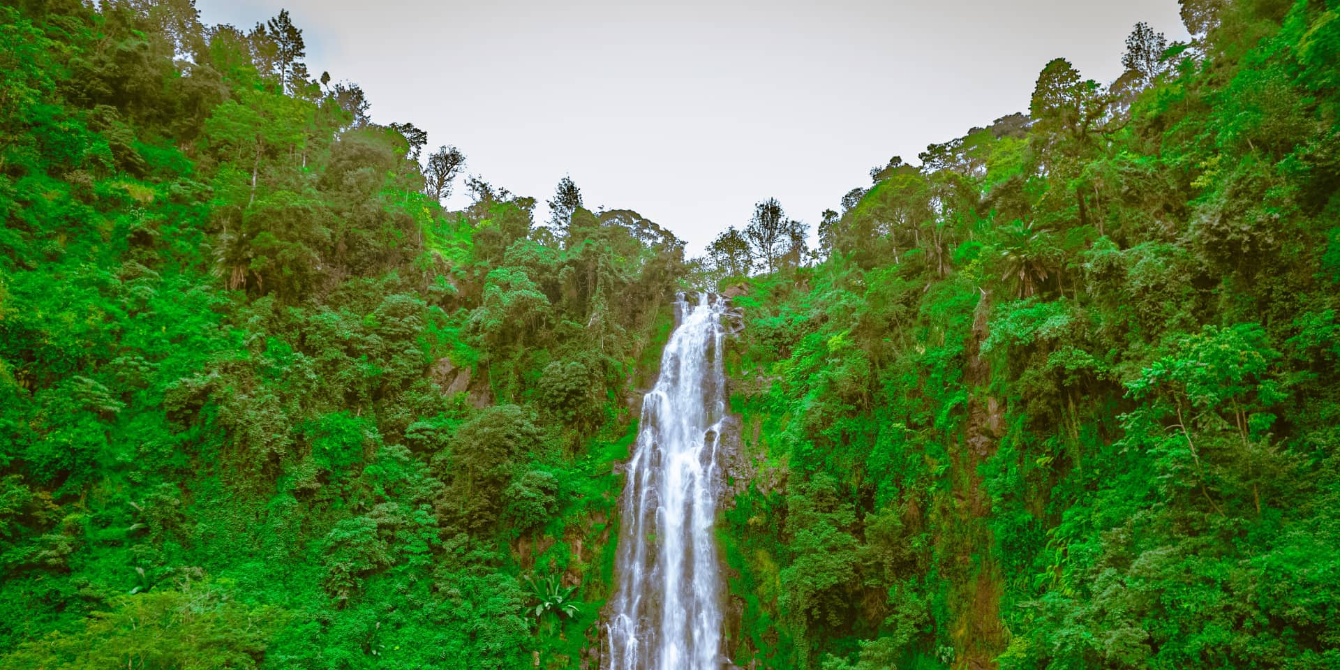 The Emerald Oasis: A Comprehensive Guide to the Materuni Waterfalls Day ...