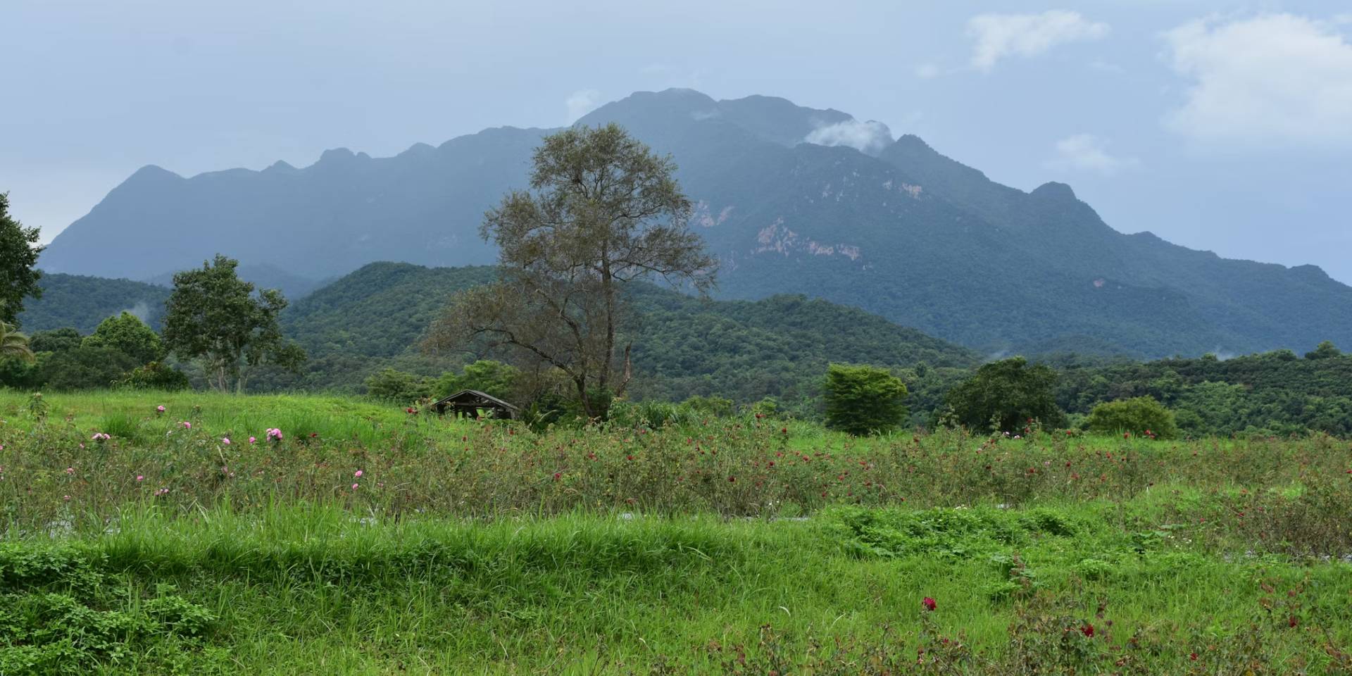 Kigoma travel guide: Explore the top things to do and how to get